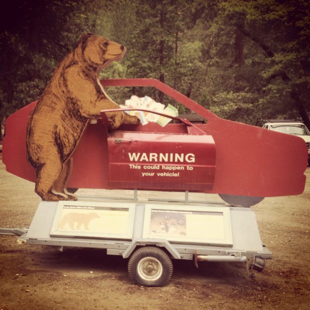 Camping vs Glamping: Which Would You Rather?