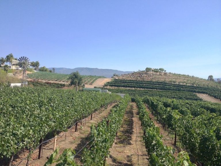 Temecula Valley: Not Just for Wine Travel
