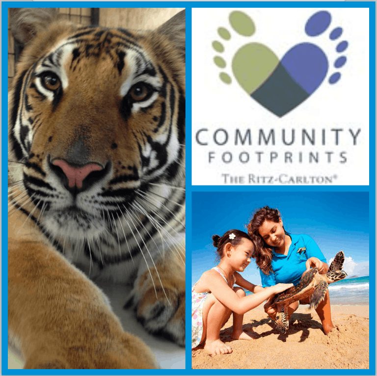 Voluntourism Spotlight: Support Ritz-Carlton's Give Back Getaways