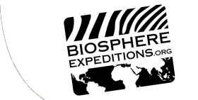 Voluntourism Spotlight- Biosphere Expeditions in Dubai