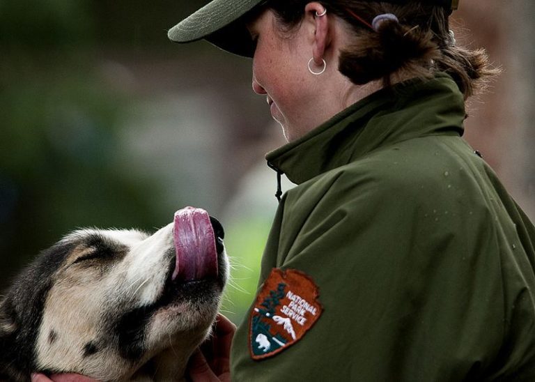 Travel Tip: How To Be A Park Ranger