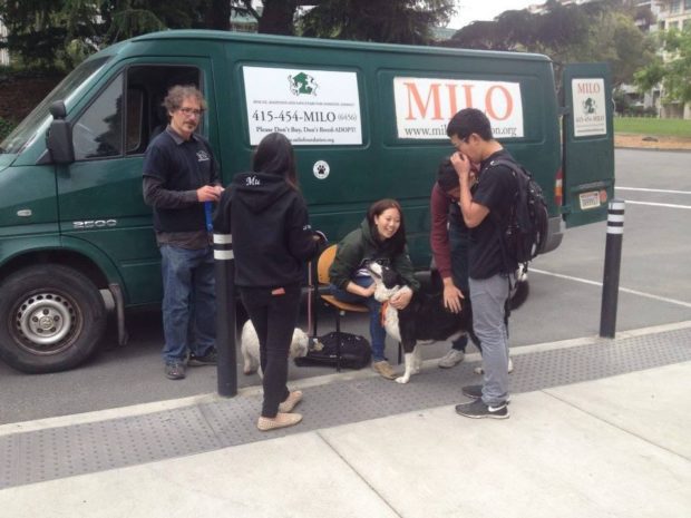 Voluntourism Spotlight: Help Animals with The Milo Foundation