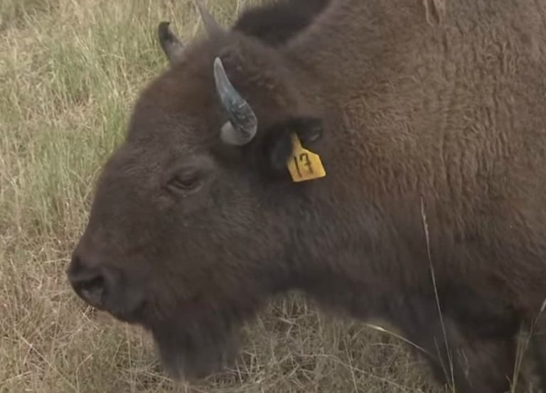 Hidden Gems of Wisconsin: Tribal Lands