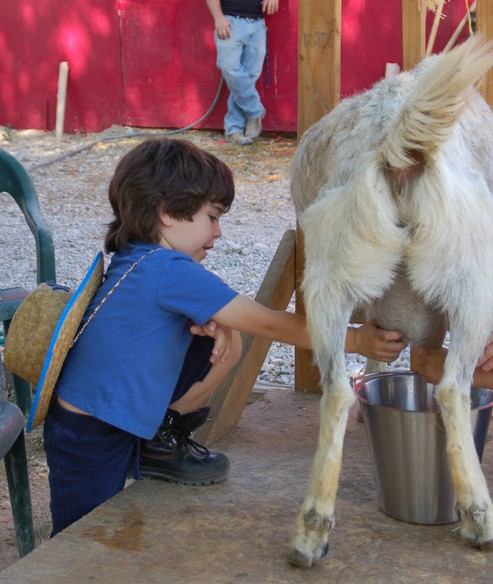 10 Animals Your Kids Should Meet — and Where You Can Find Them