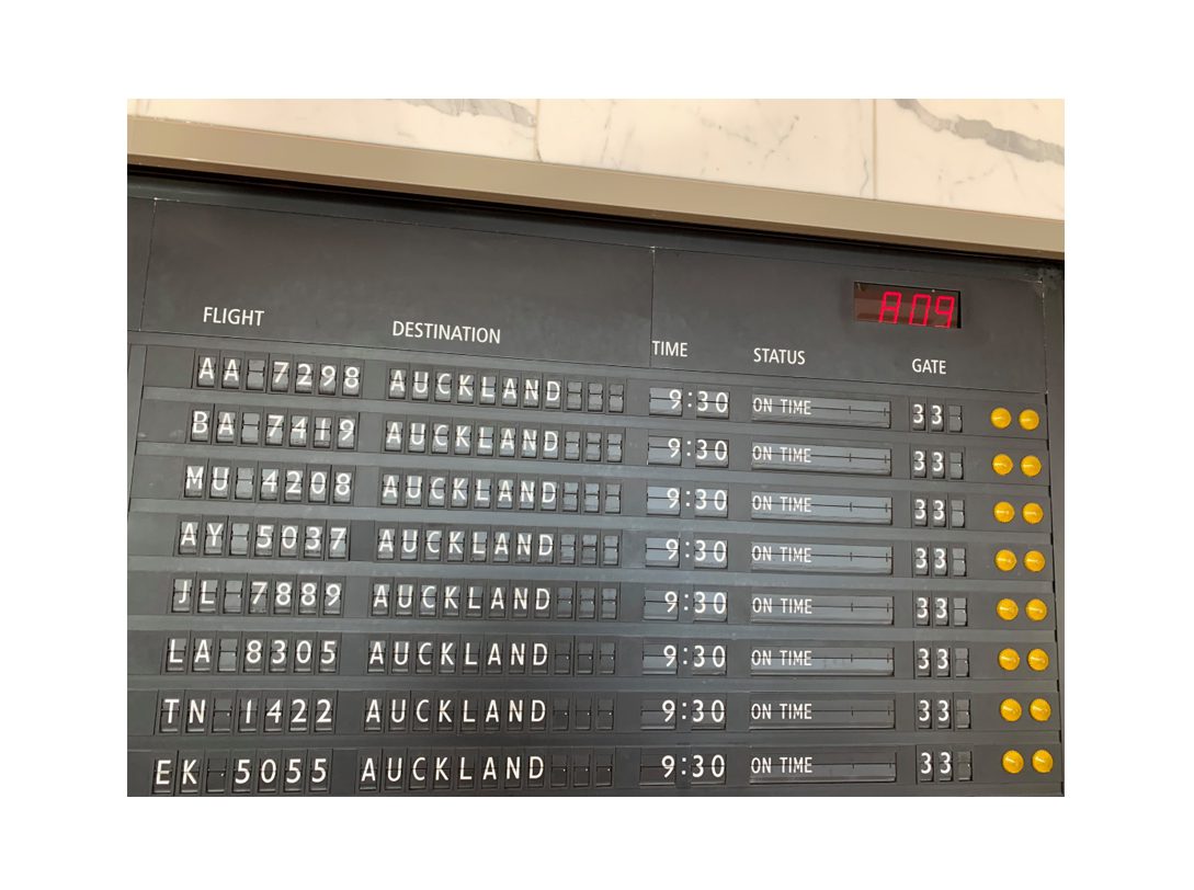 An Unreal Look at Airline Codesharing - Peter Greenberg Travel Detective