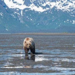 Peter Greenberg Travel Detective - An Insider's Guide to Travel: News ...