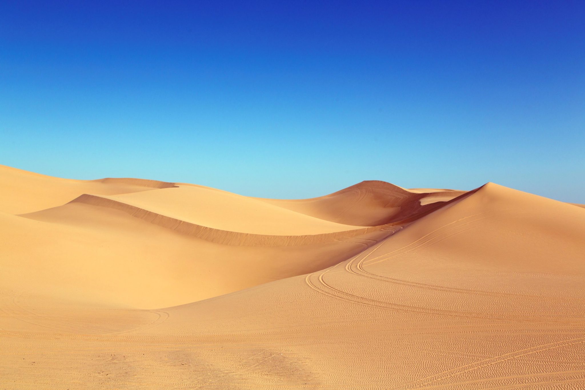 Can You Guess Which Continent Doesn't Have a Desert? - Peter Greenberg ...