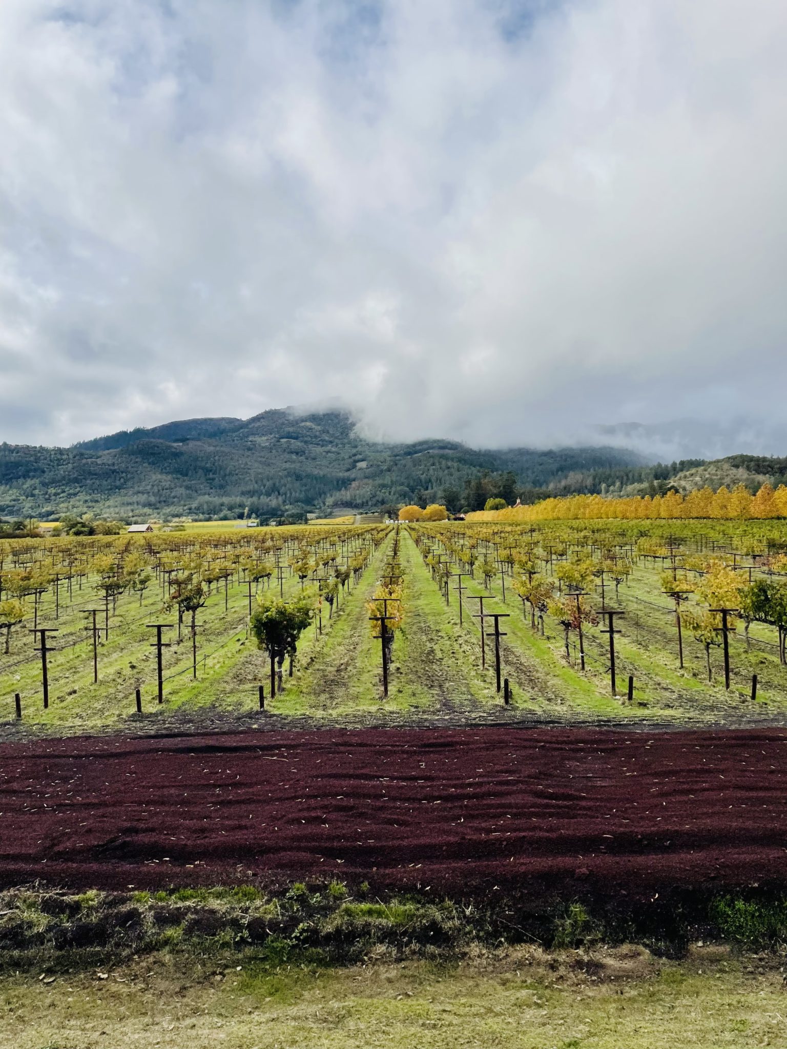 Fall in Napa: Off-Season Travel - Peter Greenberg Travel Detective