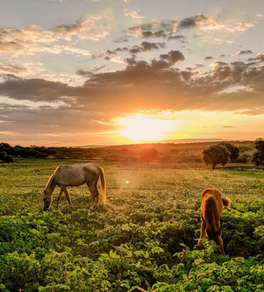 WWOOF Explained - Peter Greenberg Travel Detective